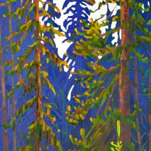 CN Fine Art | Canadian Landscape Artist